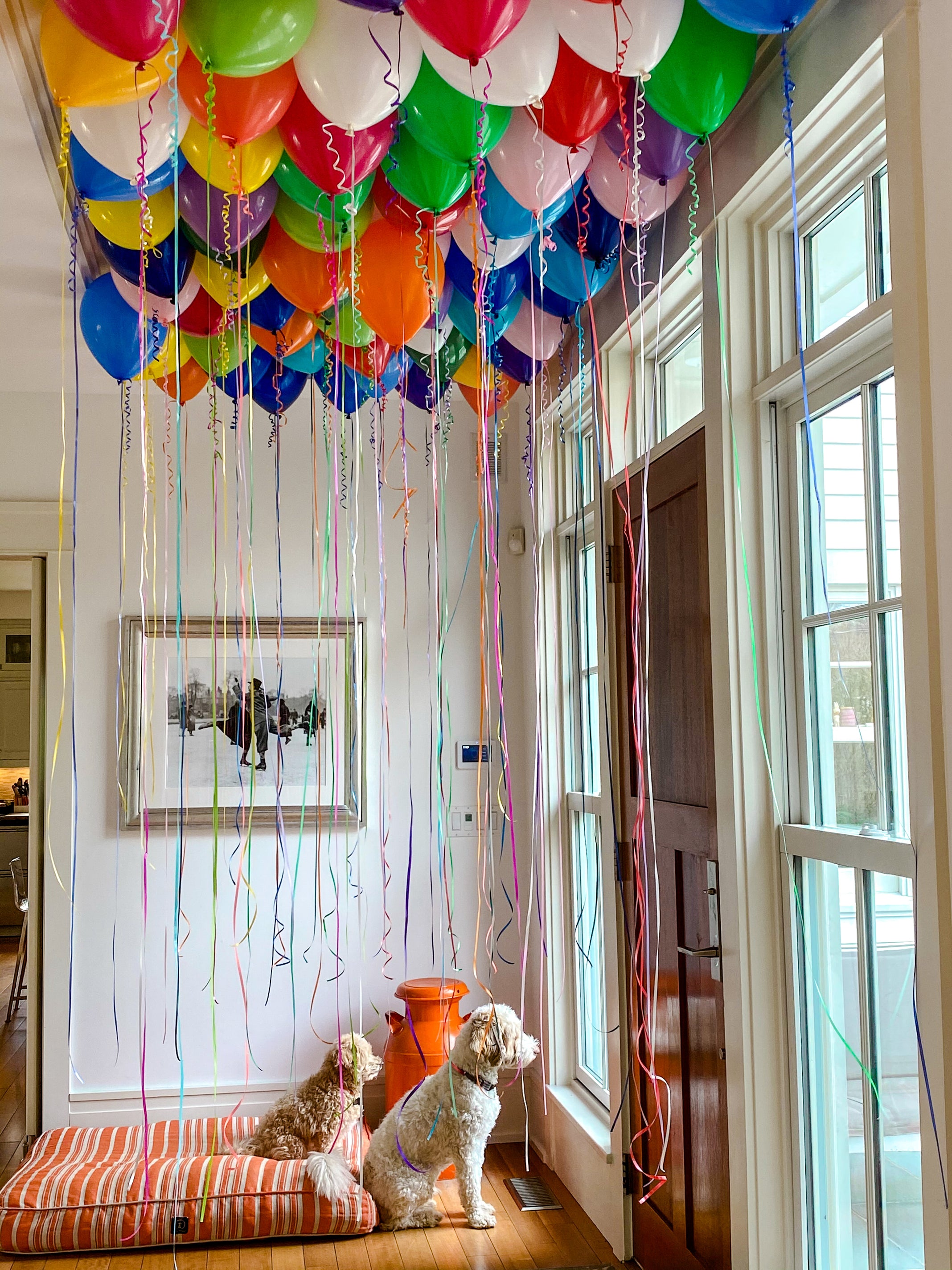 Party Harty Westport